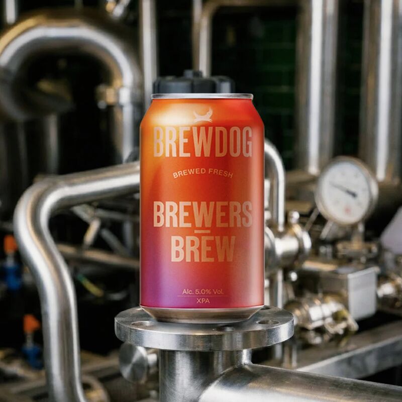 Wingman Session IPA | Full-Flavoured 4.3% Craft Pale Ale – BrewDog