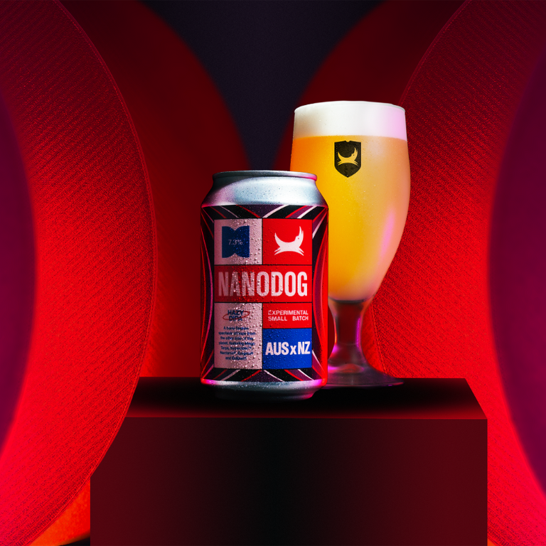 Wingman Session IPA | Full-Flavoured 4.3% Craft Pale Ale – BrewDog