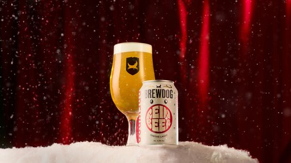 BrewDog Christmas Gifts | BrewDog UK