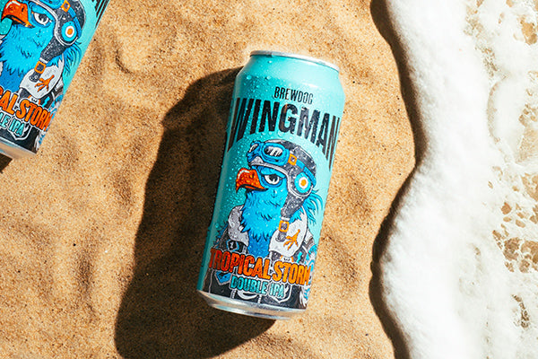 Advent Calendar 2024 - What's In The Box Spoilers | BrewDog UK