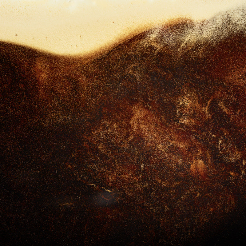 Black Heart Stout | 4.1% Craft Stout | BrewDog