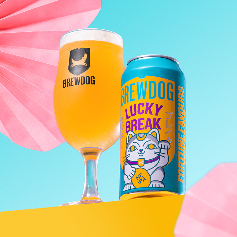 Speedbird OG | 4.5% Transatlantic IPA | BrewDog