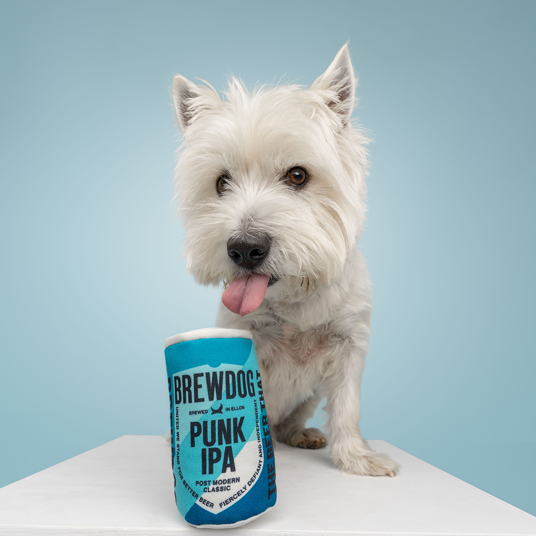 Punk Dog