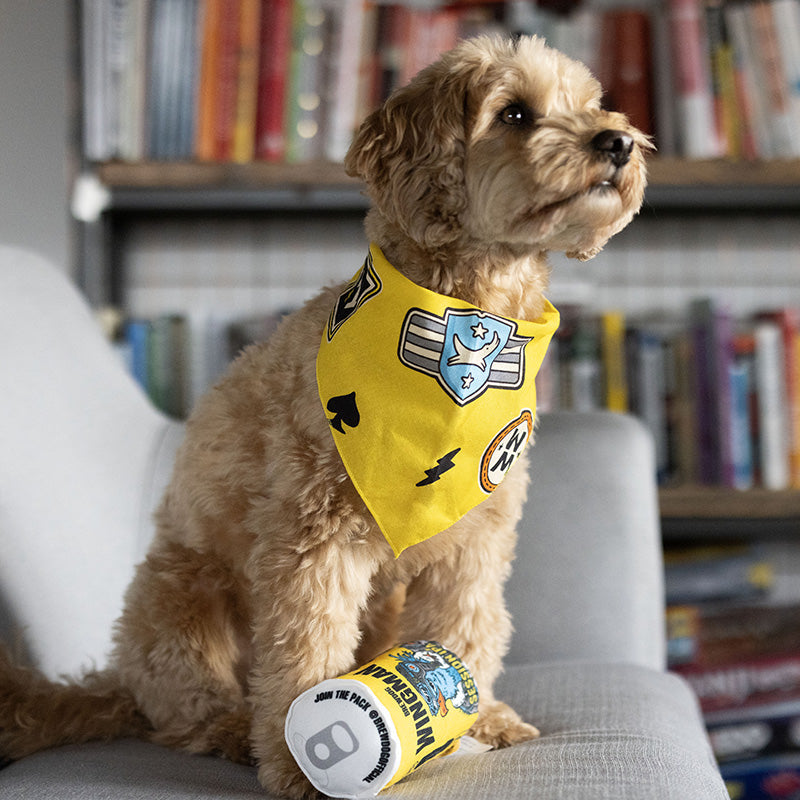 Wingman Tropical Storm | IPA 7.2% 330ml | BrewDog UK