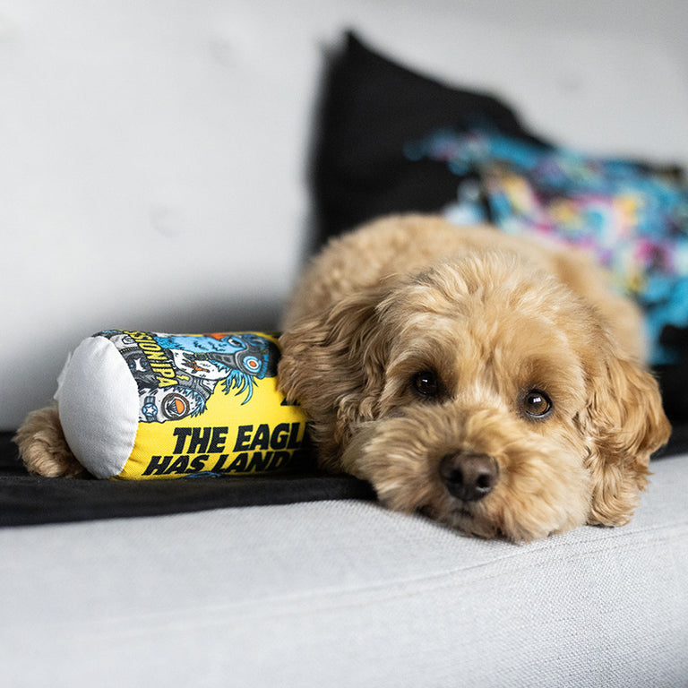 Wingman Hero Glass | BrewDog UK