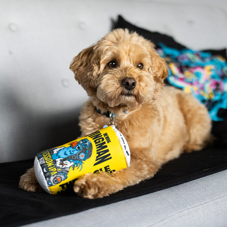 Wingman Bundle | BrewDog UK